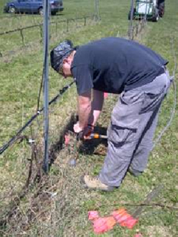 Canada | BioEnergy Lists: Biochar Mailing Lists